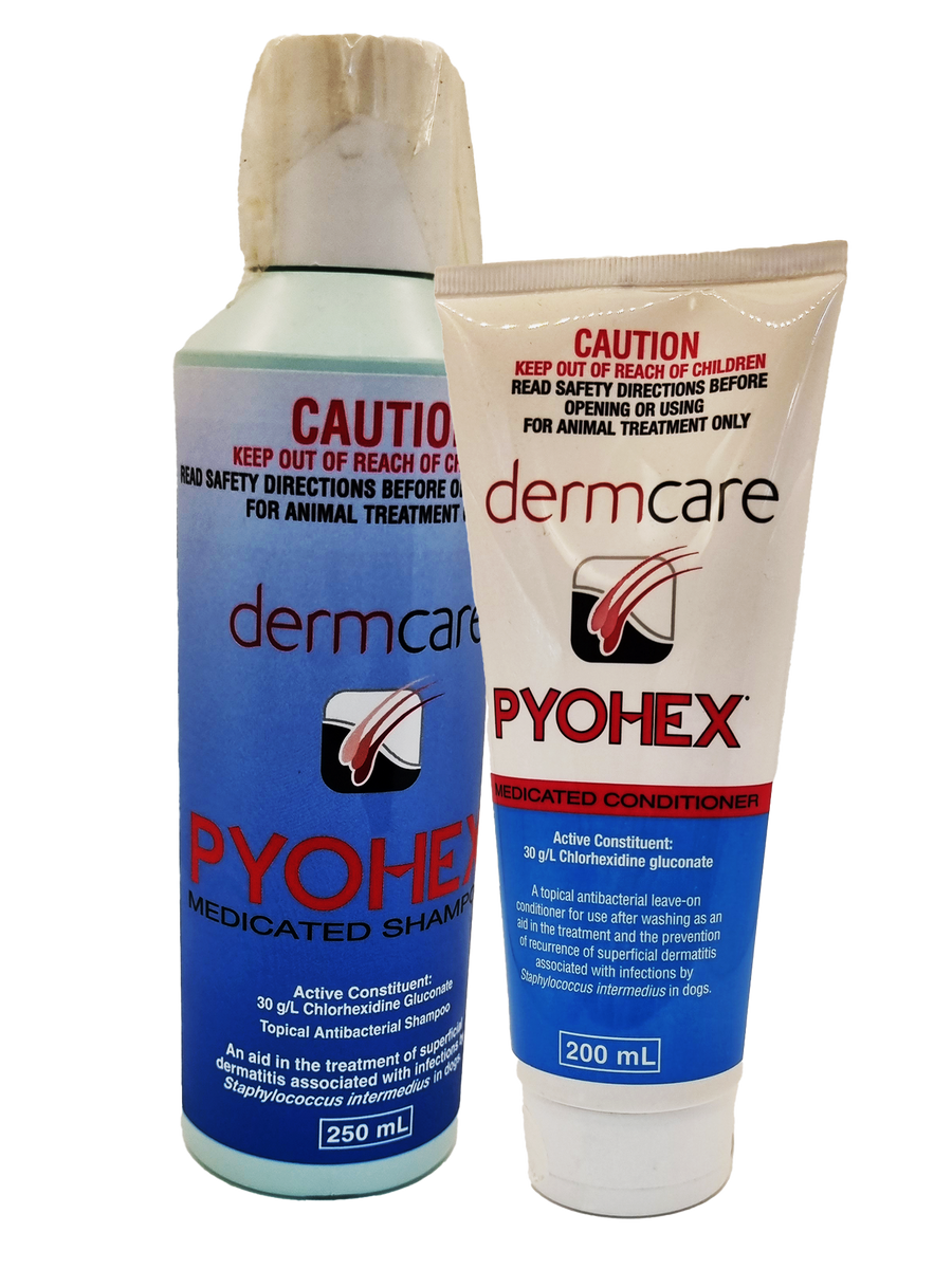 Dermcare Pyohex Dog Medicated Shampoo and Conditioner – Charlie and Mia ...