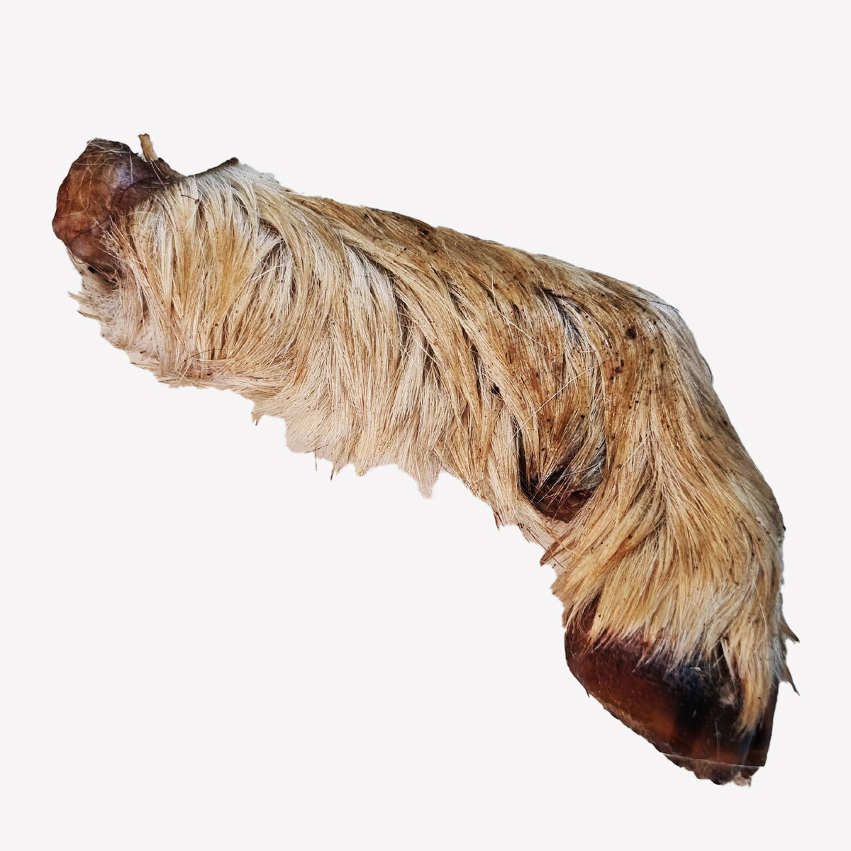 Australian Goat Trotter with Fur– Charlie and Mia’s Barkery