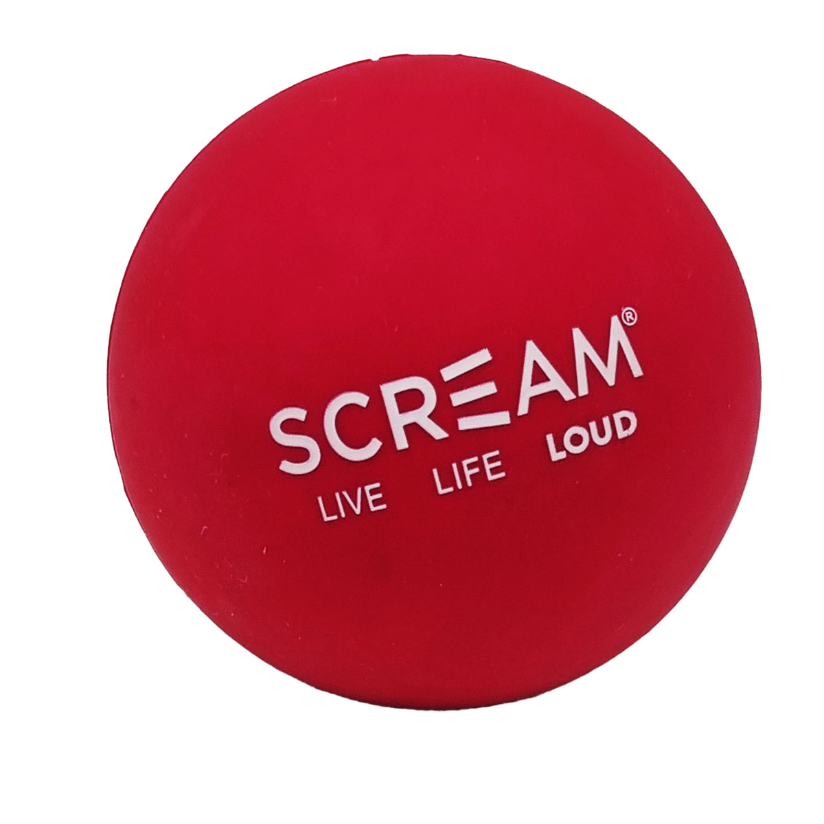 Scream Rubber Ball Dog Toy: Blaze-Approved Outdoor Fun! – Charlie and ...